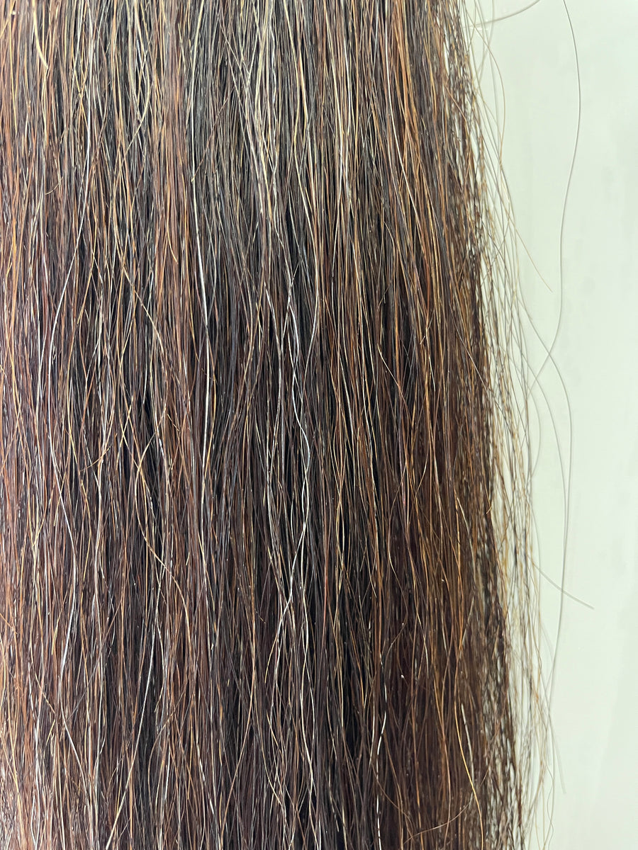 Dark chestnut mix blend Filler / small single yearling thickness 65cm ...