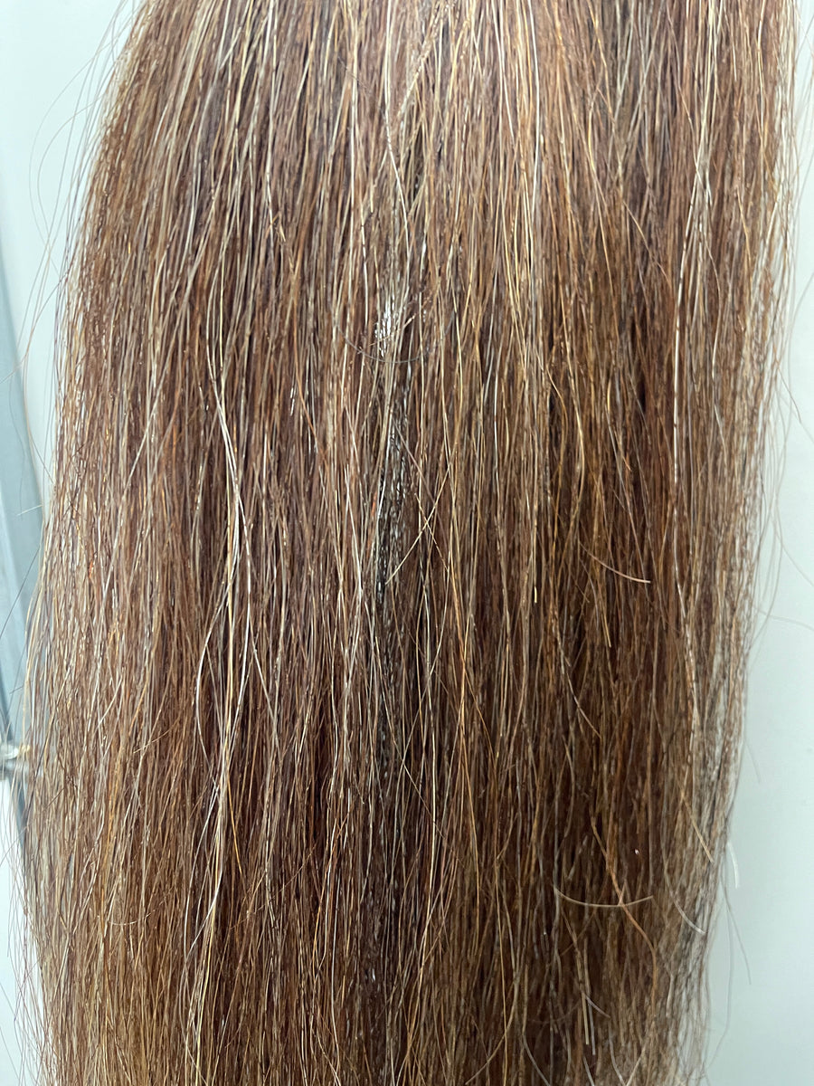 Chestnut mix blend 70 cm natural end Full thickness ( just over single ...